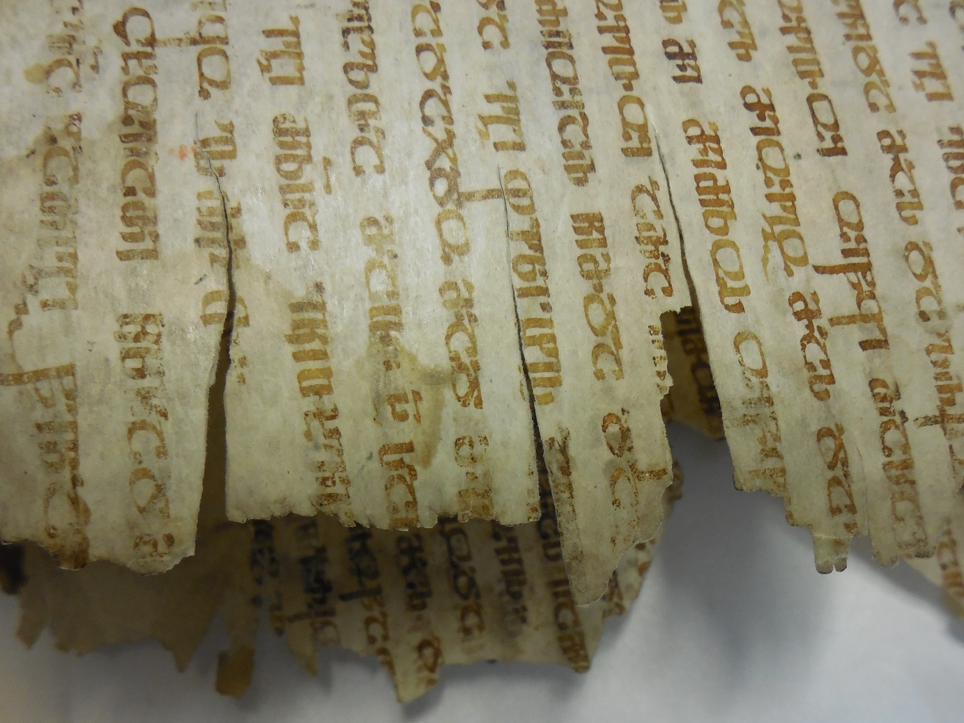 Videotutorials zeigen Methode der Pergament-Restaurierung - TH Köln